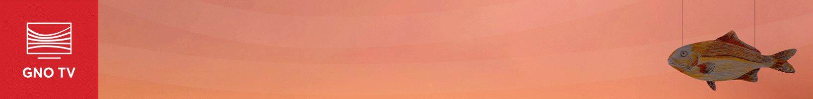 ΕΘΝΙΚΗ ΛΥΡΙΚΗ ΣΚΗΝΗ